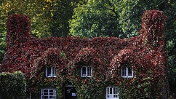 Couple Finds Natural Way To Warm Their Home Ahead of Winter Energy ...