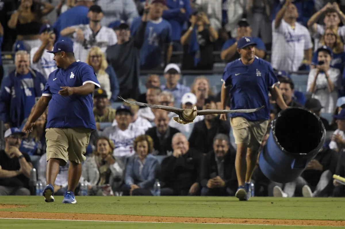 Dodgers Fans Fear Loose Goose Unlocked a New Curse - Newsweek