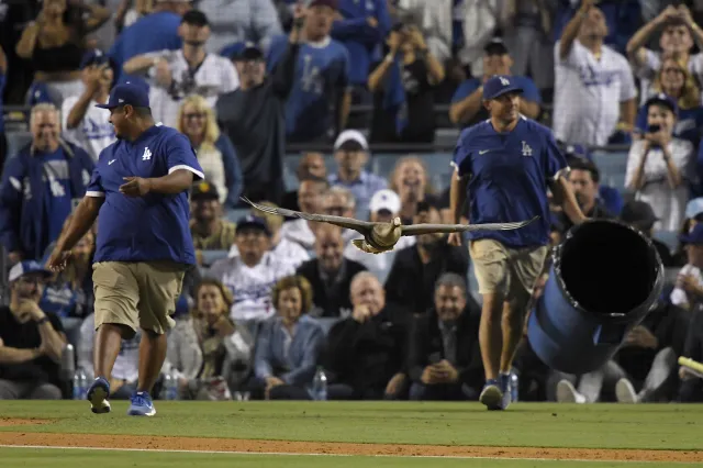 Dodgers Fans Fear Loose Goose Unlocked a New Curse - Newsweek
