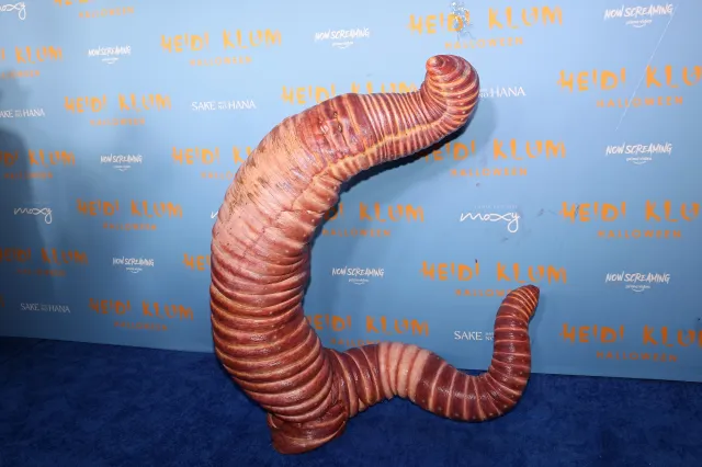 New Clip of Heidi Klum Wiggling as Worm Goes Viral: ‘Terrifying’ - Newsweek
