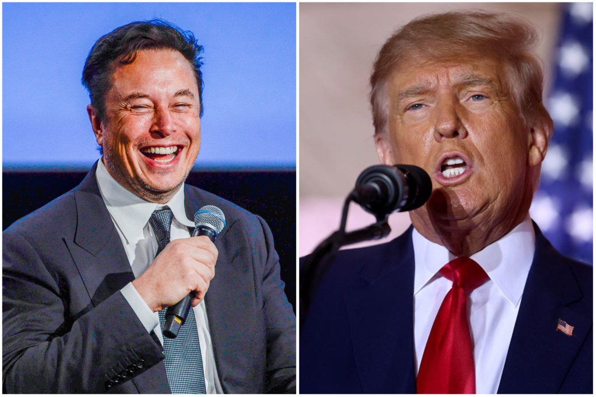 Trump Gains 25m Twitter Followers Overnight As Elon Musk Restores ...