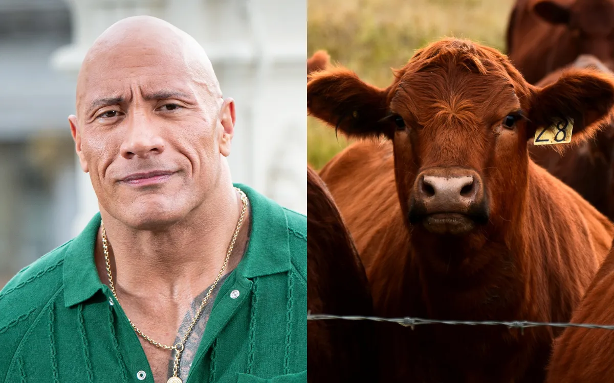 Dwayne ‘The Rock’ Johnson Reacts to Cow Doing His Iconic Eyebrow Raise ...