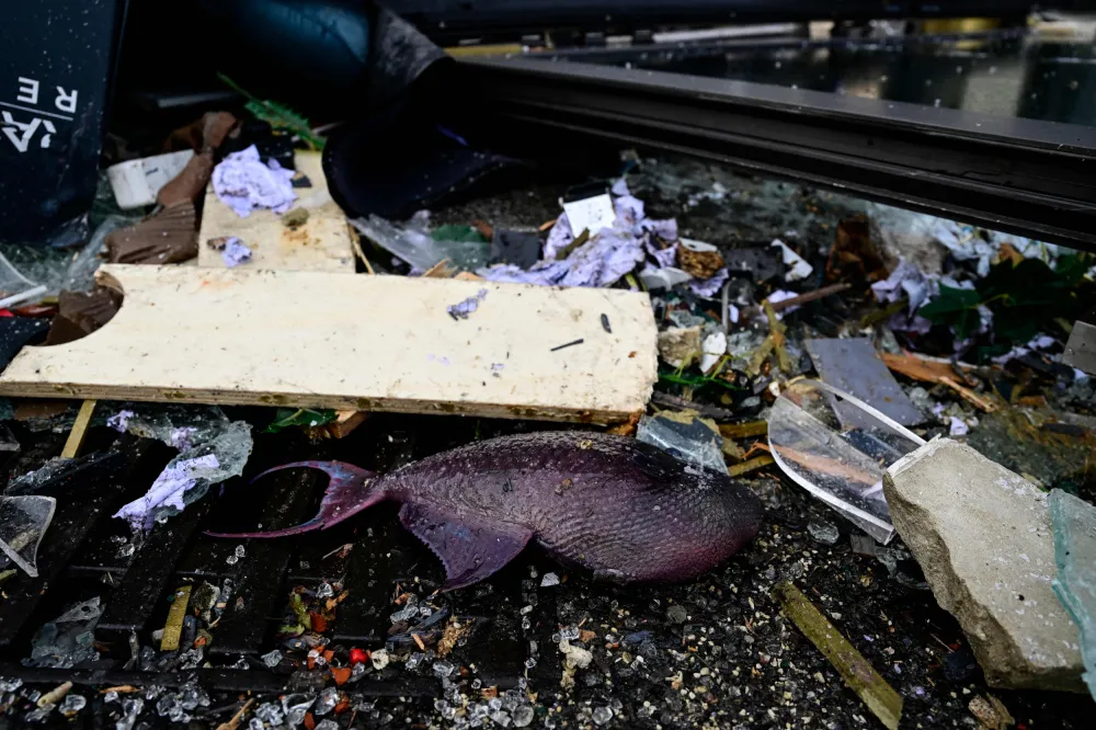 Aquarium Explosion Unleashes 1,500 Fish Into Hotel, Video Shows - Newsweek