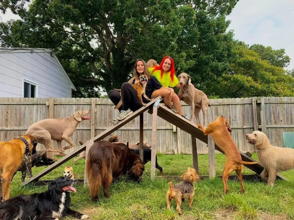 Woman With 30 Dogs From Dobermans to Chihuahuas Reveals How Visitors ...