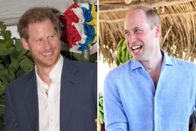 Prince William and Prince Harry Viral Dance Moments Praised By TikTok ...
