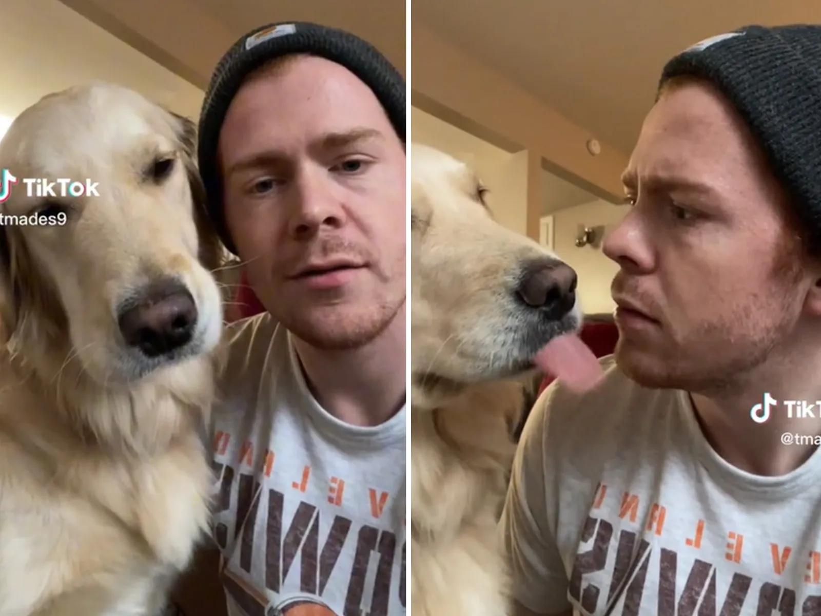 Golden Retriever’s ‘Secret Language’ With Owner Has Internet In ...