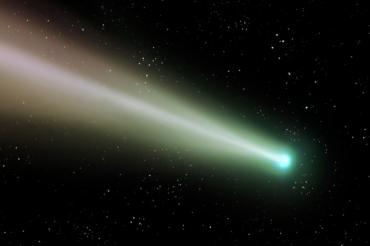 Green Comet May Have Come From Mysterious Cloud at Edge of the Solar ...