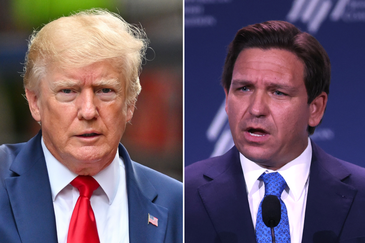 MAGA Republican Issues Stark Warning to Ron DeSantis - Newsweek