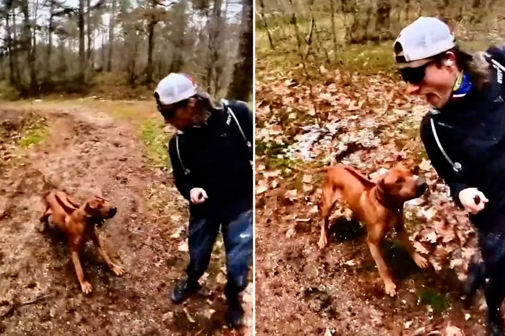 Watch Scary Moment Man Fears He’s About To Be Attacked by ‘Powerful ...
