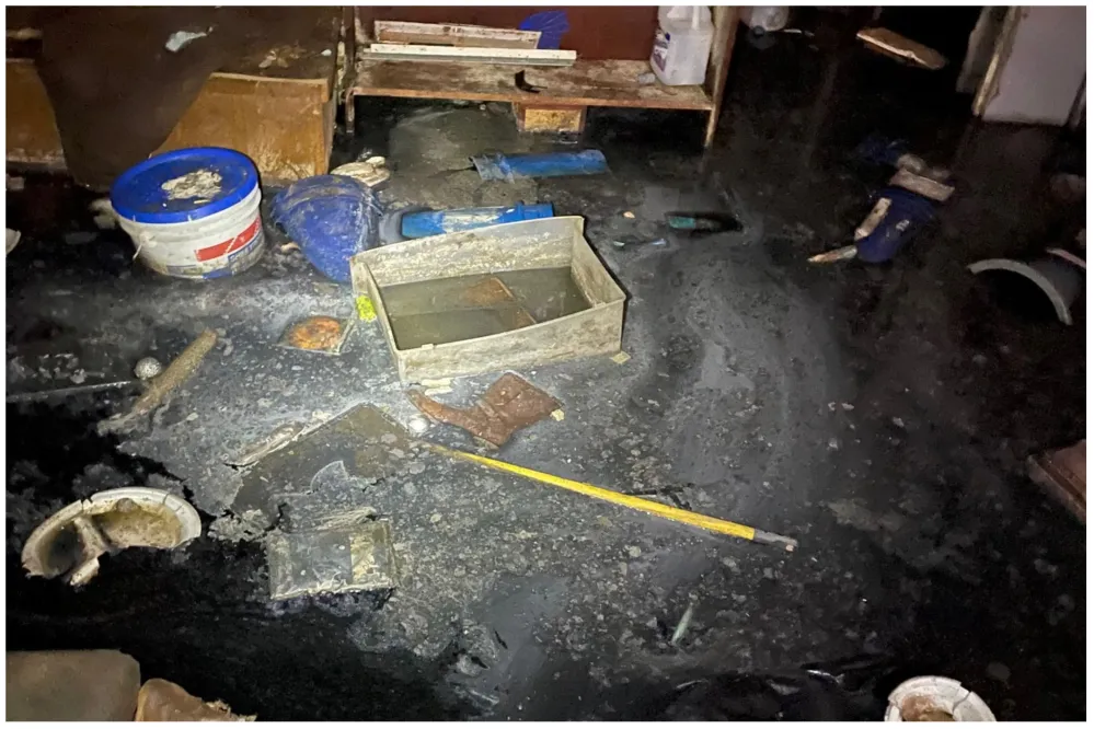 Dozens of Cats Rescued From Home in One of Ohio’s ‘Worst Hoarding Cases ...