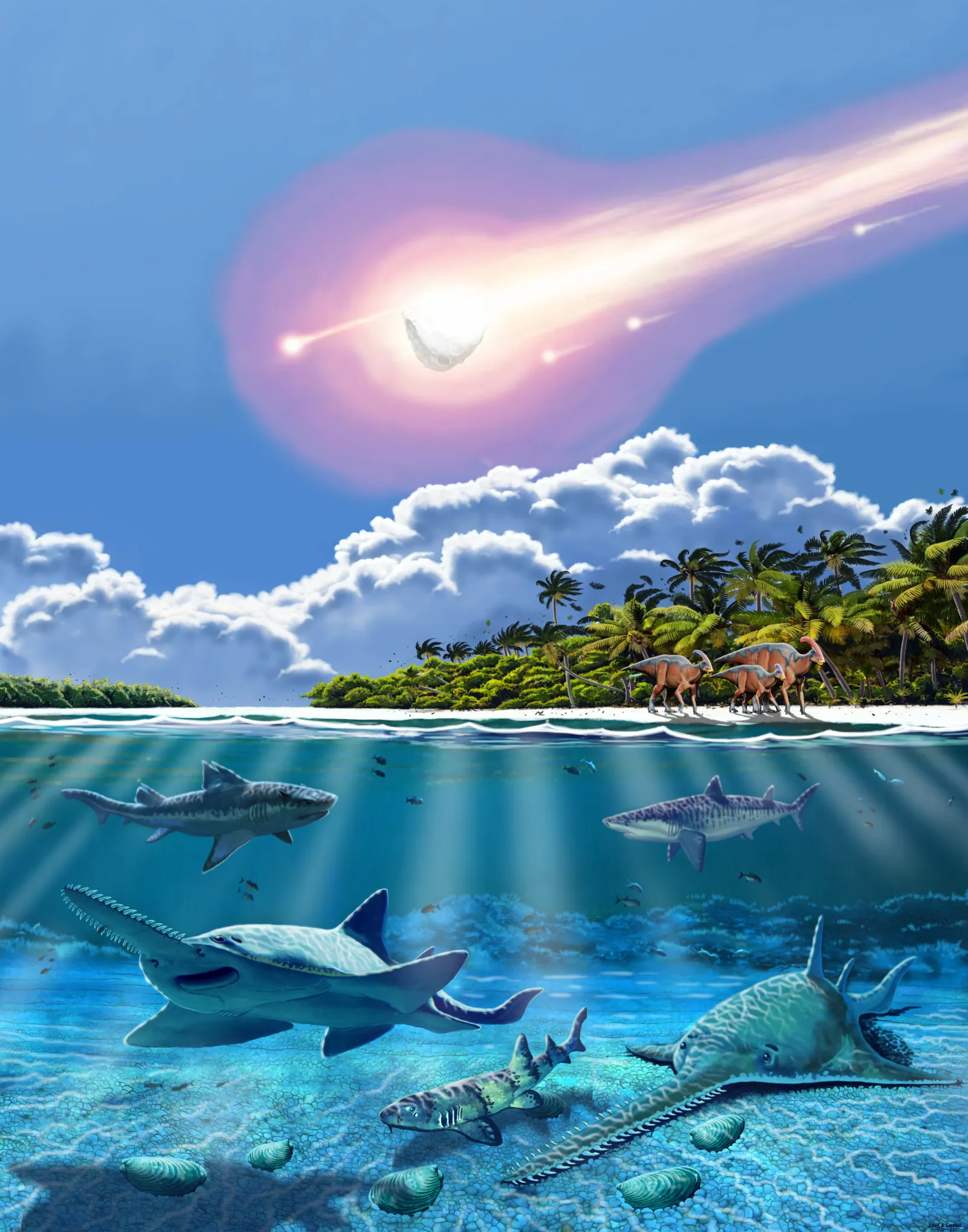 How Sharks Survived the Mass Extinction Asteroid That Killed the ...