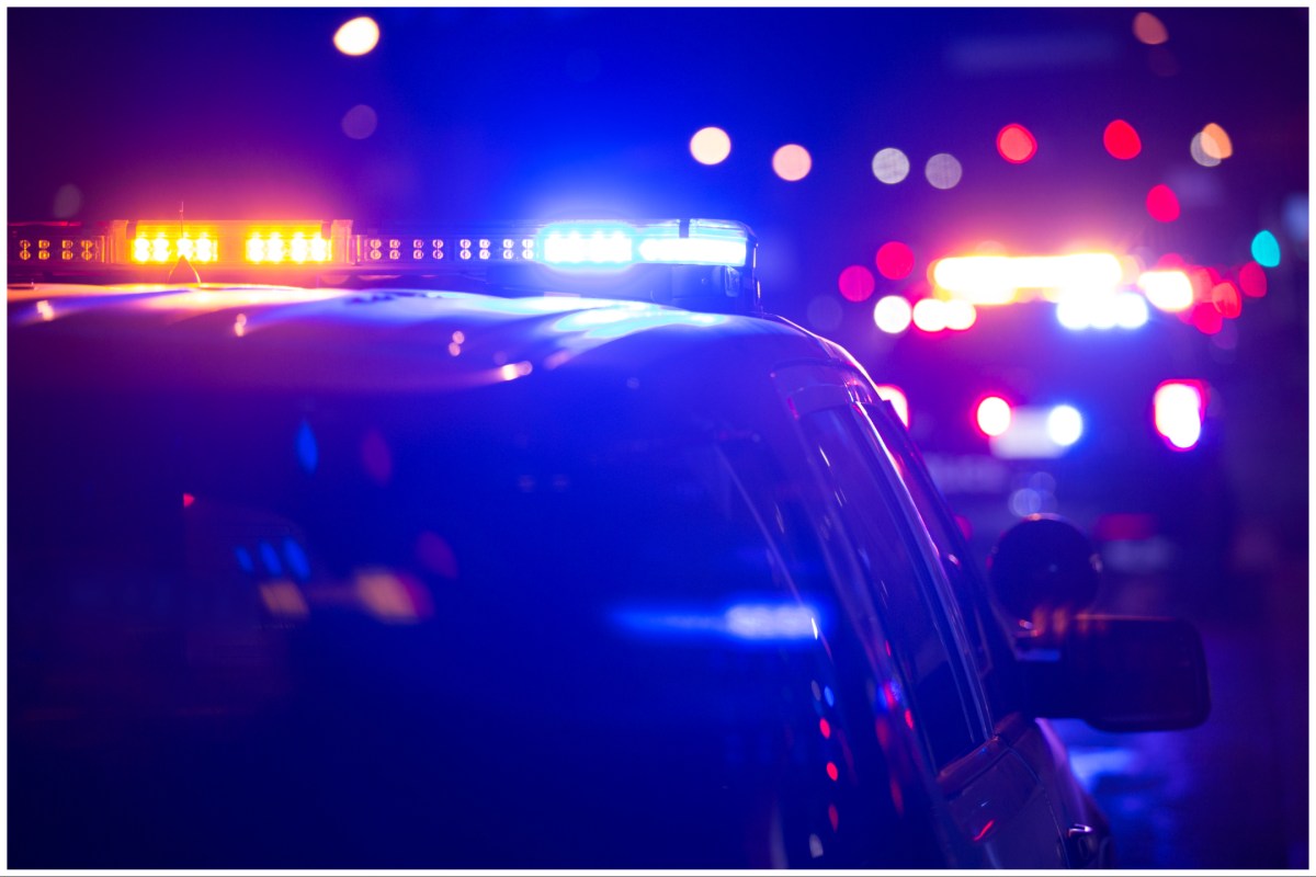 Alabama Man, 65, Mauled to Death by Pack of Dogs: Coroner - Newsweek
