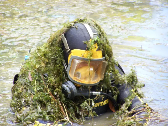 Scientists Release Ancient Enemy To Control Invasive Weed in ‘World ...