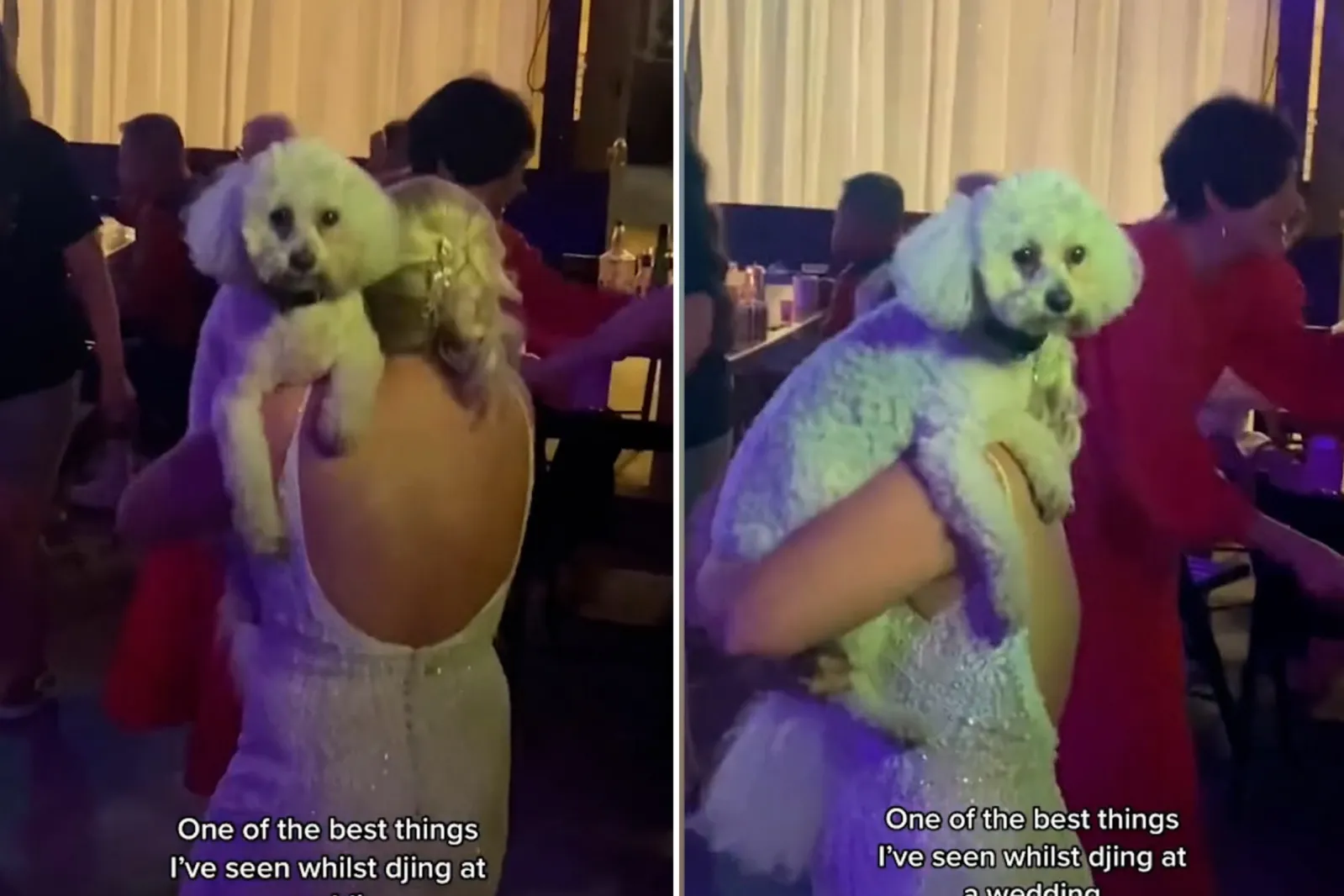 Bride’s Cute Dancing Partner Steals the Show at Her Wedding ...