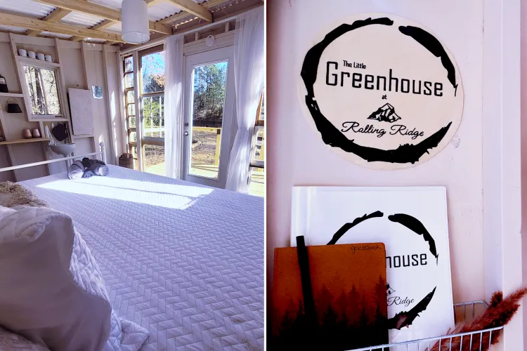 Veteran Builds Incredible Glamping Cabins in Yard and Charges $60 a ...