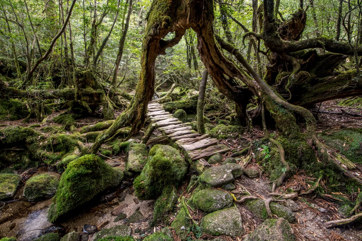 The Best Natural Healing Destinations to Rest, Recharge and Restore ...