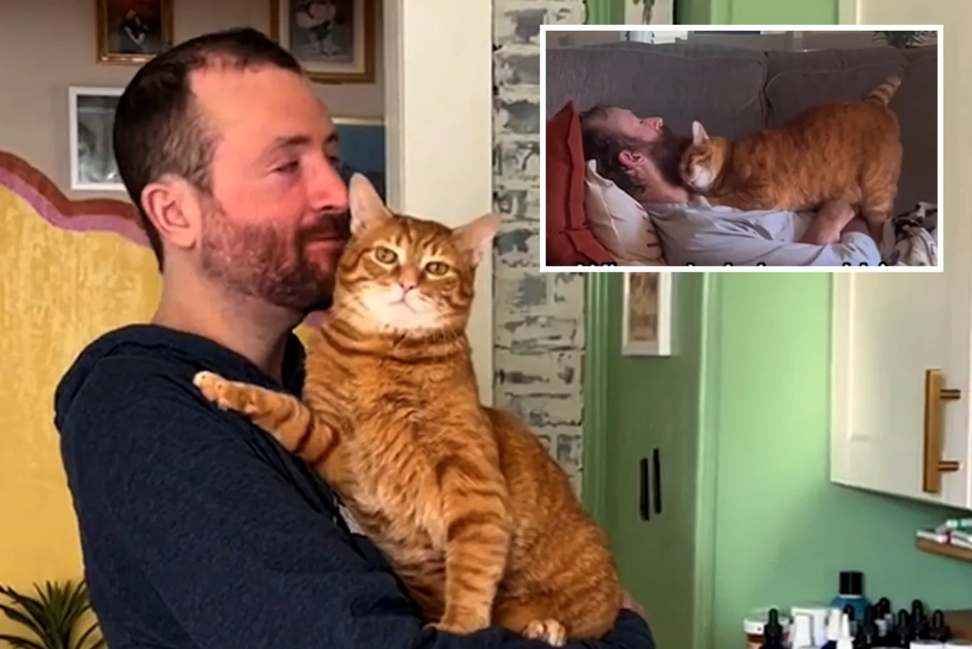 Cat’s Reaction When Owner Shaves Beard Has Internet Howling: ‘Betrayal ...