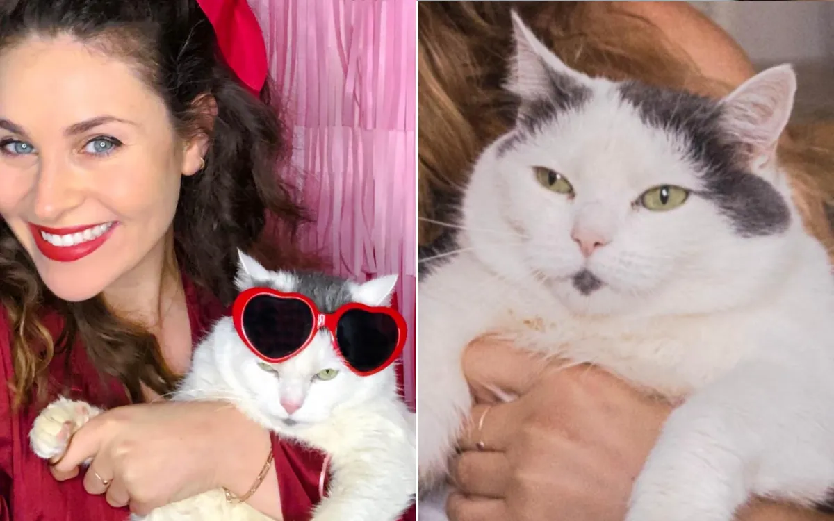 Pet Sitter Sends Owner Hilarious Picture of Her Unfriendly Cat: ‘Spicy ...