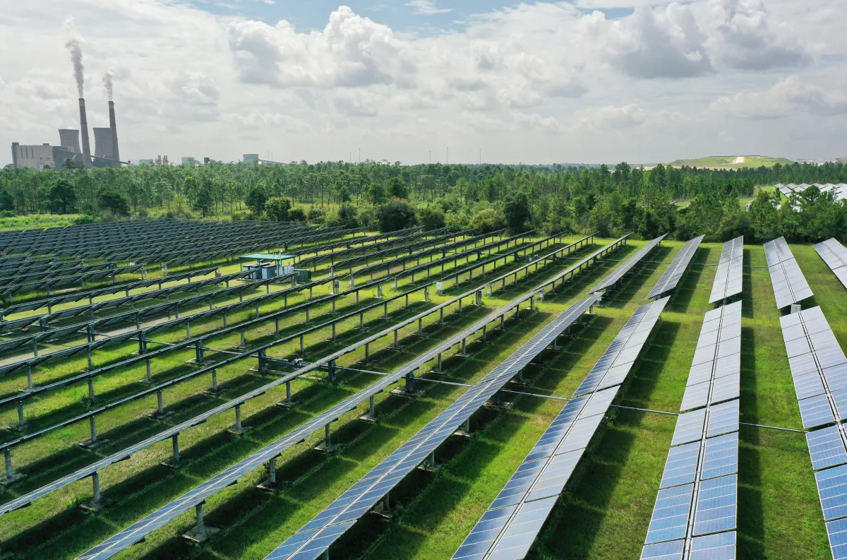 Full List of Democrats Voting to Repeal Biden’s Solar Panel Plan - Newsweek