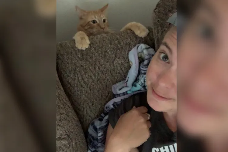 Cat’s Reaction to Sniffing Owner’s Gnocchi is Priceless As Video Goes ...