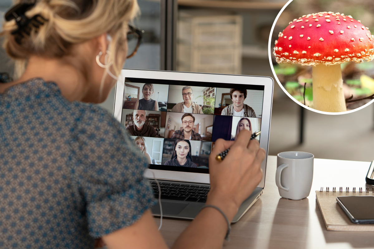 Hysterical Clip Shows Woman Trying to Sneak Onto Teams Call: ‘The ...