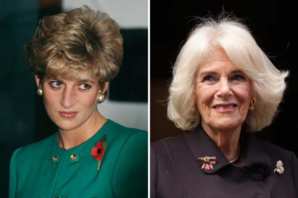 Princess Diana’s ‘Confrontation’ With Queen Camilla Resurfaces - Newsweek