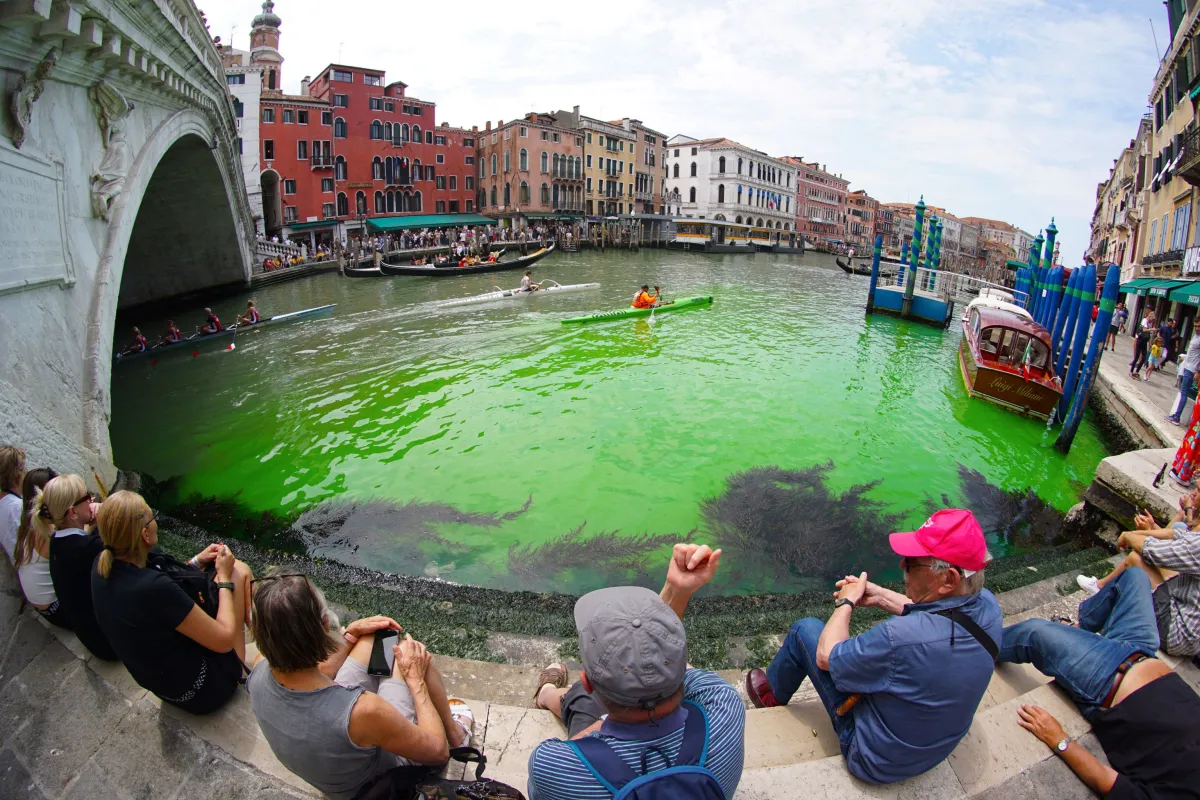 Why Venice’s Grand Canal Turned Bright Green - Newsweek