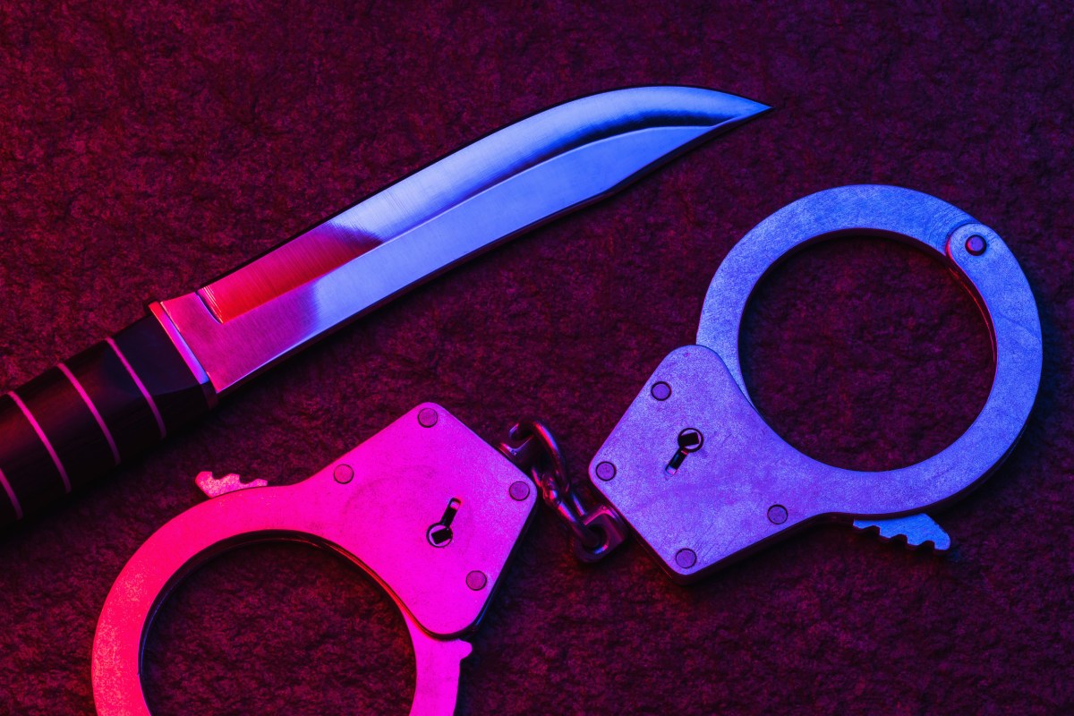 Girl Talked of Stabbing Brother Weeks Before Attack, Moth... - Newsweek