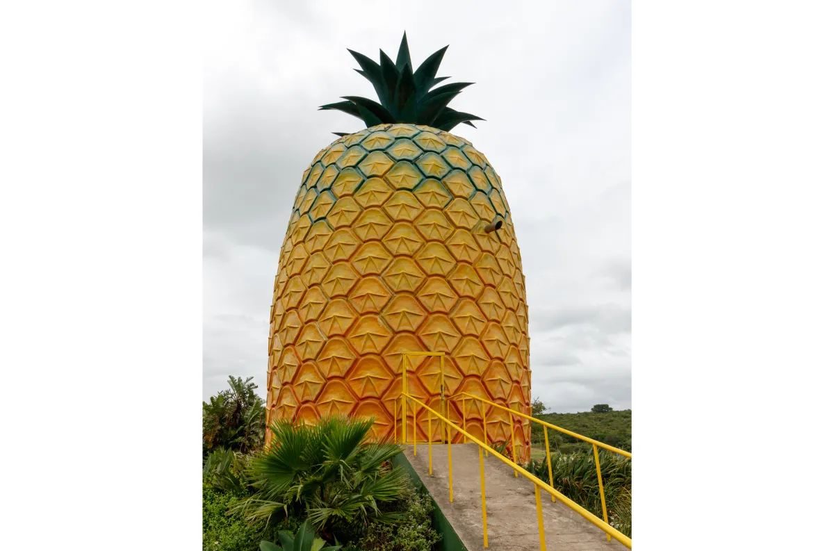 Is That a Giant Pineapple? Weird and Wacky Attractions for Road ...