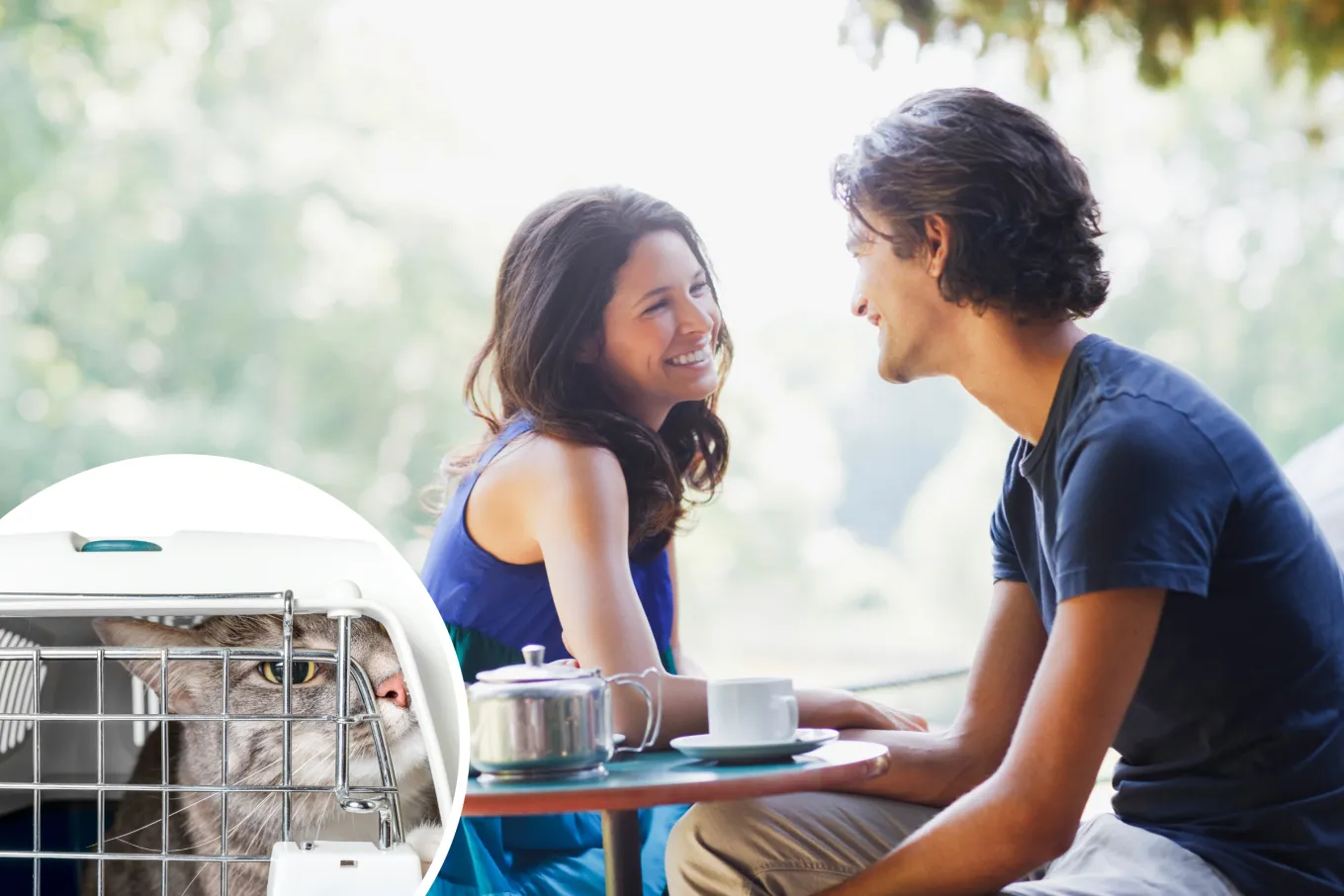 Man Bringing Cat on First Date Praised: ‘Green Flags Everywhere’ - Newsweek