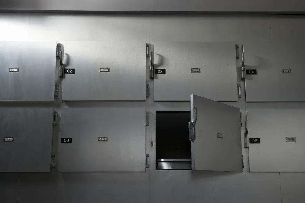Stolen Human Skin From Harvard Morgue Was Used to Make Leather ...