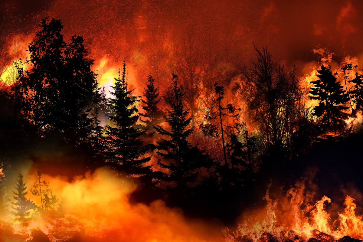 Wildfire Threats Move to Northern U.S. States This Summer - Newsweek