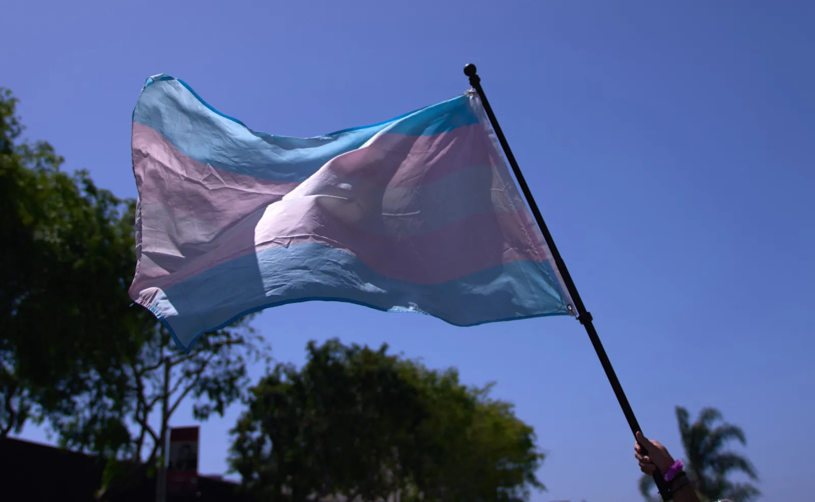 What is Trantifa? Far-Left Trans Movement Spreading Across U.S. - Newsweek