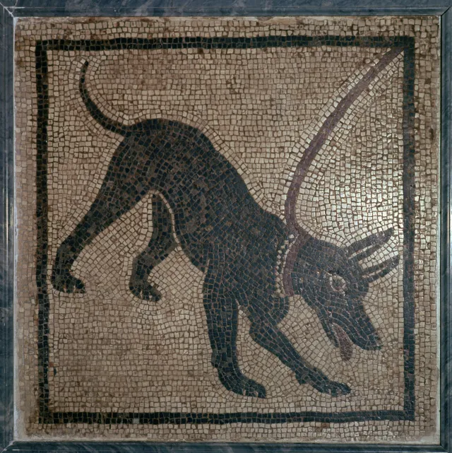 Ancient Dog Paw Prints Found Near Roman Fort - Newsweek