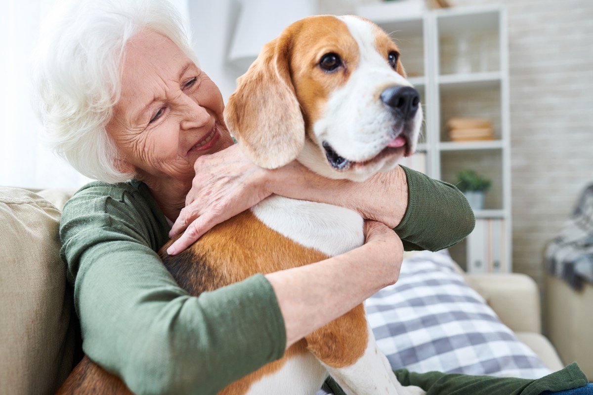 Interaction Between a Dog and Her 90-Year-Old Grandma Melts Hearts ...