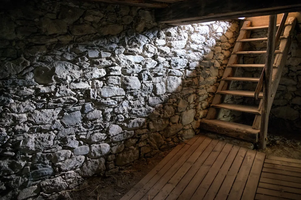 Woman’s Video of ‘Horror Movie’ Basement Goes Viral: ‘Hard Pass’ - Newsweek