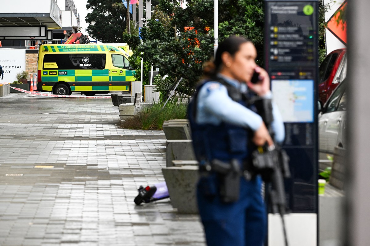New Zealand Shooting: What We Know as Gunman Kills 2 in World Cup City ...