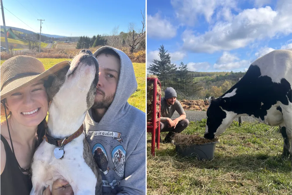 Cow Who Was ‘Too Fast’ and Escaped Slaughter Now Runs With Joy at ...