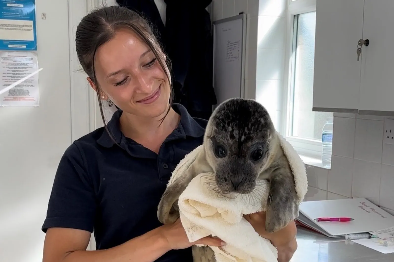 Watch Adorable Rescue Seal Greet Rescuer With ‘Crazy Flops’ - Newsweek