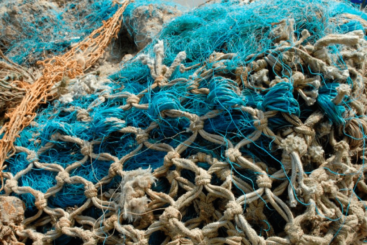 Automakers Want Small Footprints From Big Sustainability ... - Newsweek