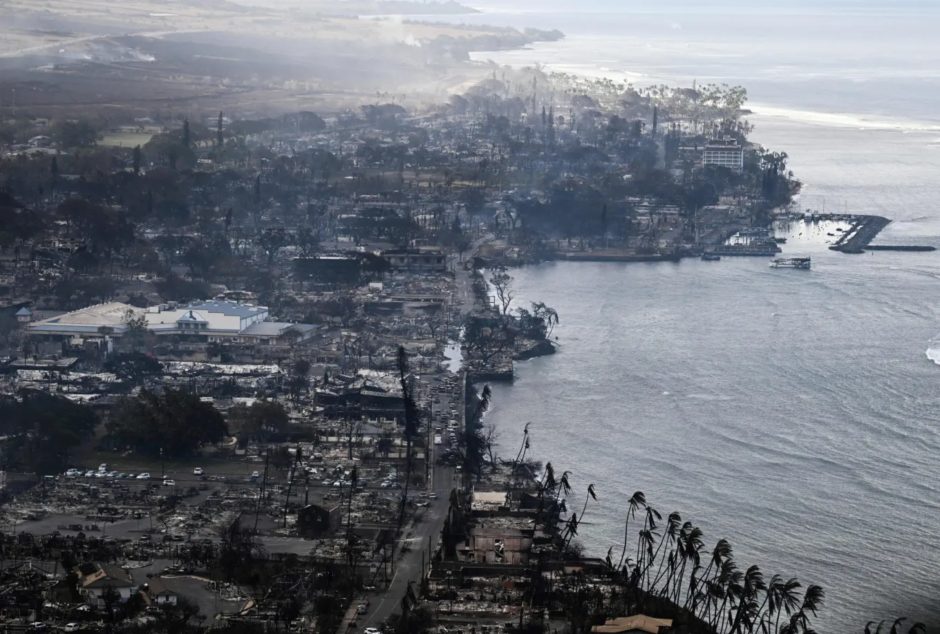 Maui Wildfire Update: Hundreds Missing in Deadliest Blaze in Over a ...