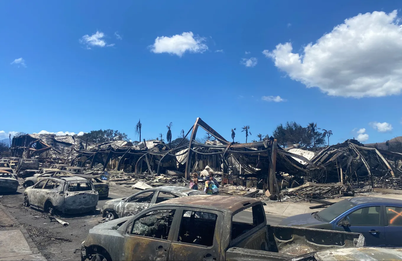 Hawaii Video Shows Entire Street Destroyed by Wildfire - Newsweek