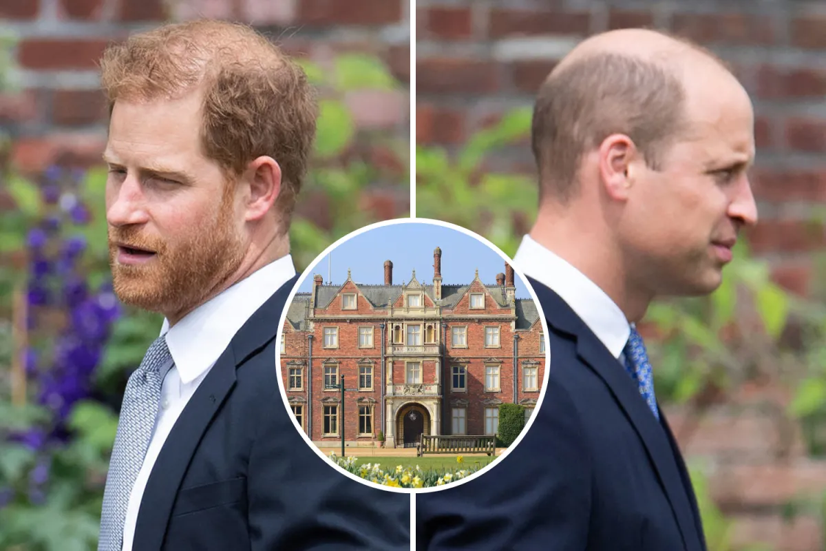 What Prince Harry Said About ‘Sandringham Summit’ That Saw William ...