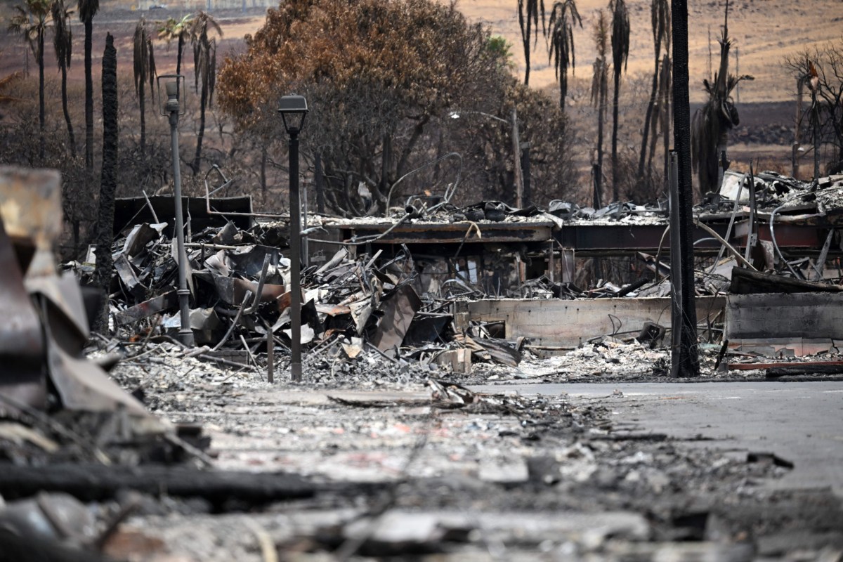 Maui Theory About Blue Objects Being Saved from Wildfires Is Baseless ...