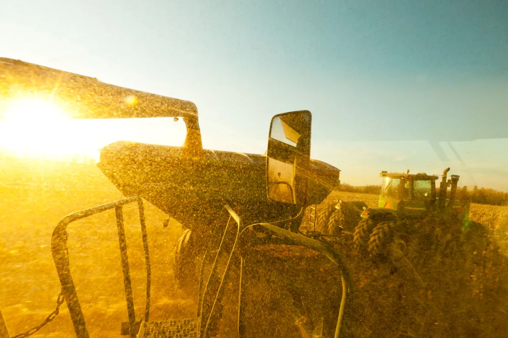 Corn News & Latest Pictures From Newsweek.com