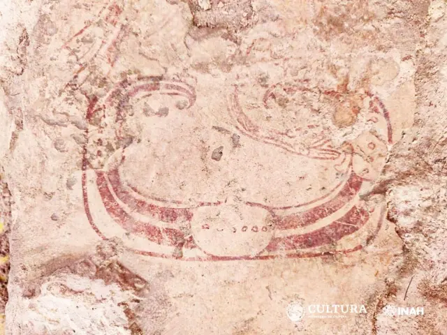 Archaeologists Discover Ancient Camp Where Maya Ate Cooked Snails ...