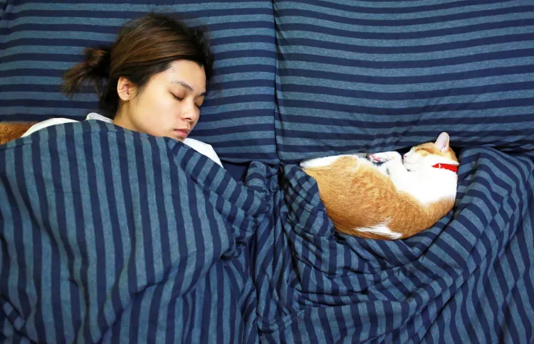 The Dangers of Sleeping With Your Cat in the Bed, From a Feline Expert ...