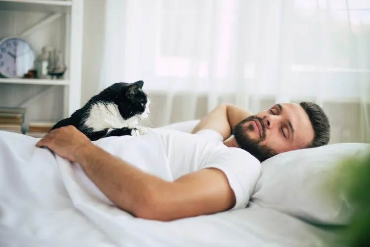The Dangers of Sleeping With Your Cat in the Bed, From a Feline Expert ...