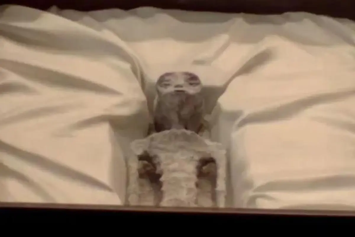 What X-Ray Scans of ‘Alien Bodies’ in Mexico Reveal - Newsweek