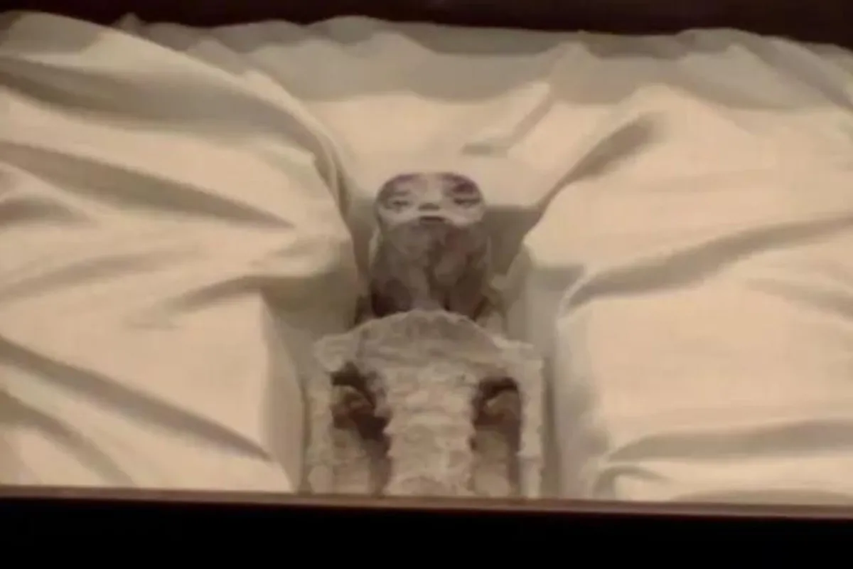 What X-Ray Scans of ‘Alien Bodies’ in Mexico Reveal - Newsweek